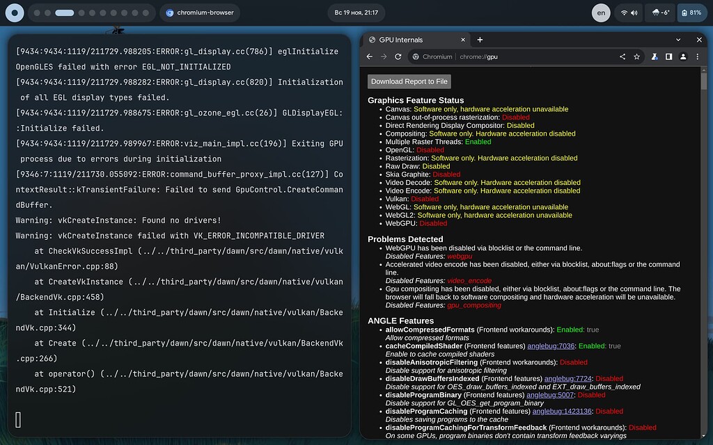 Electron apps can't find OpenGL - Help - NixOS Discourse