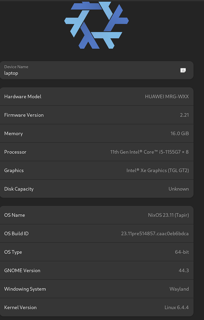 Nixos disk capacity cannot display - Help - NixOS Discourse