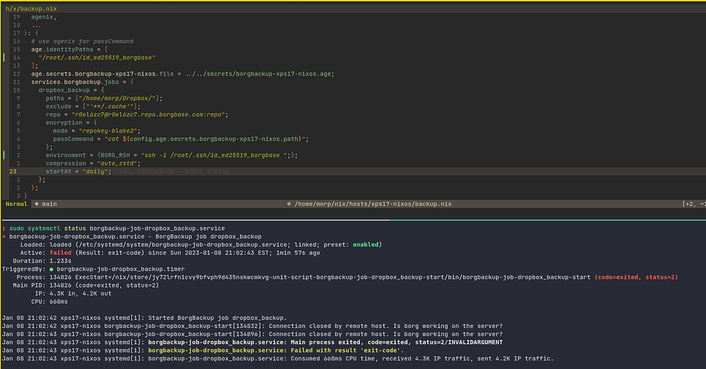 Borgbackup setup on NixOs - Help - NixOS Discourse