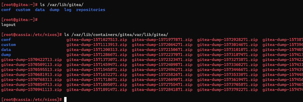 Move Nixos Container To Different Machine Help Nixos Discourse