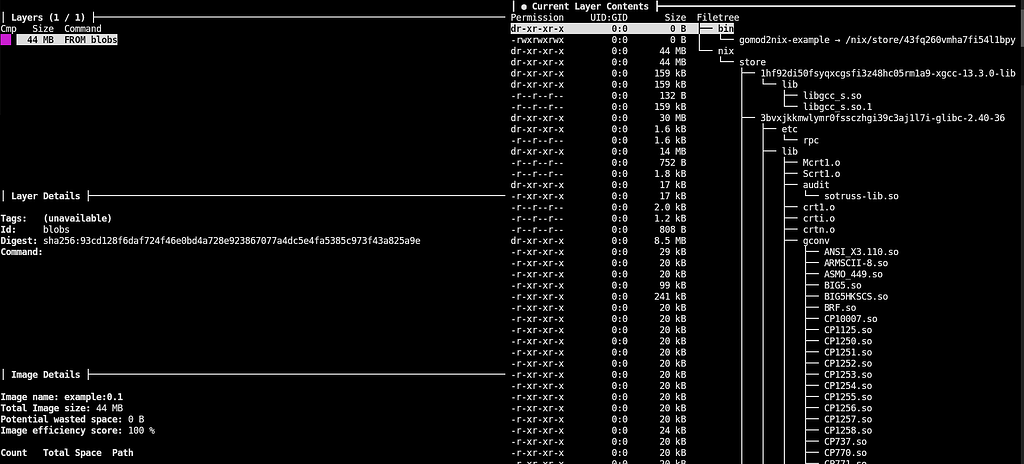 Reducing glibc size in a container - Help - NixOS Discourse