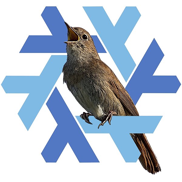 NixOS Merchandise report - Announcements - NixOS Discourse